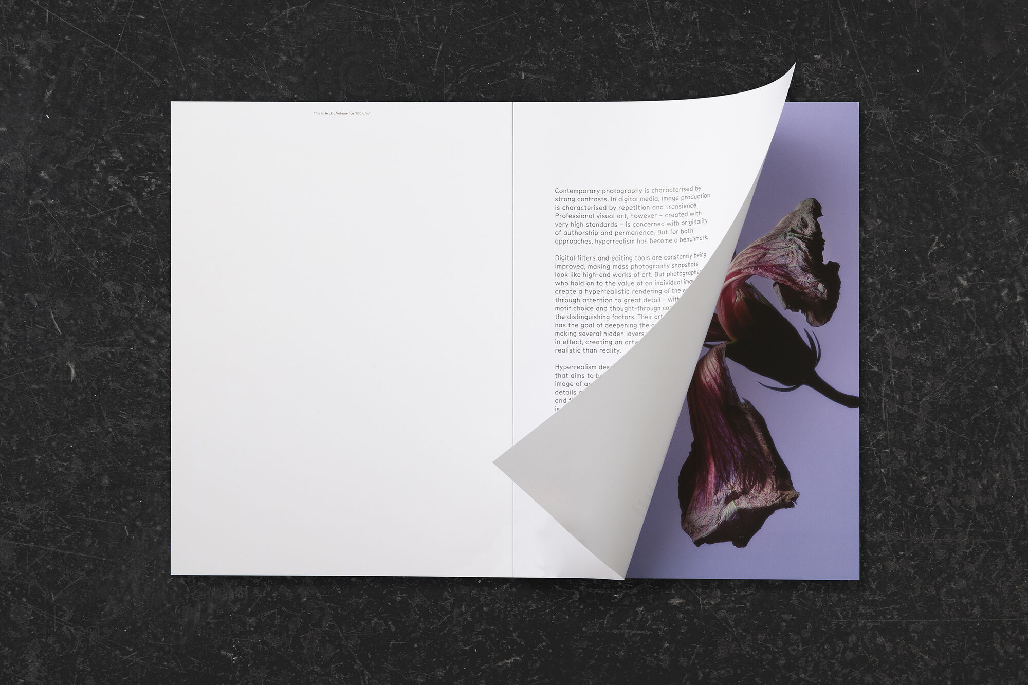 Arctic Volume Surface