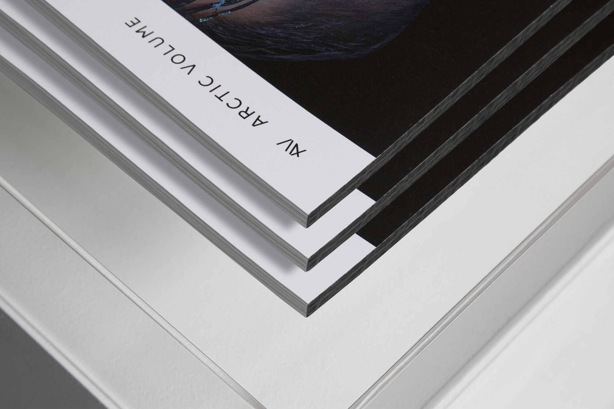 Arctic Volume Surface